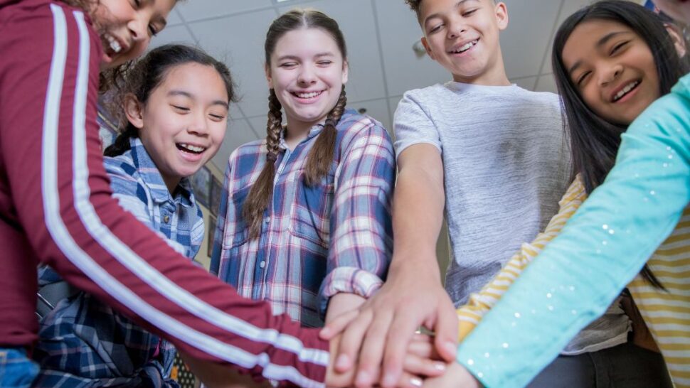 Learning Disabilities Association of Niagara Region | The Right to ...